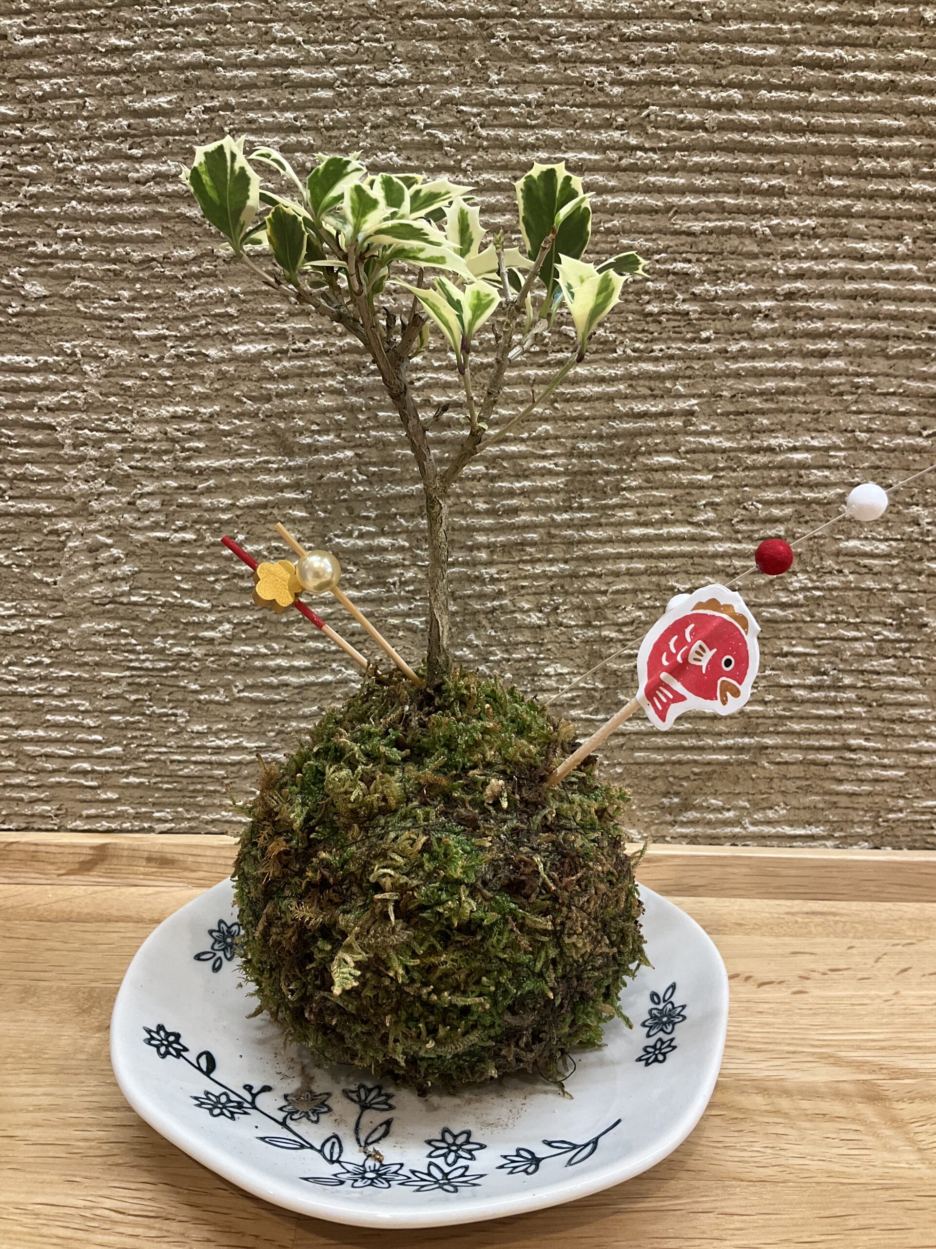 苔玉作り体験 | グレイスベース高松